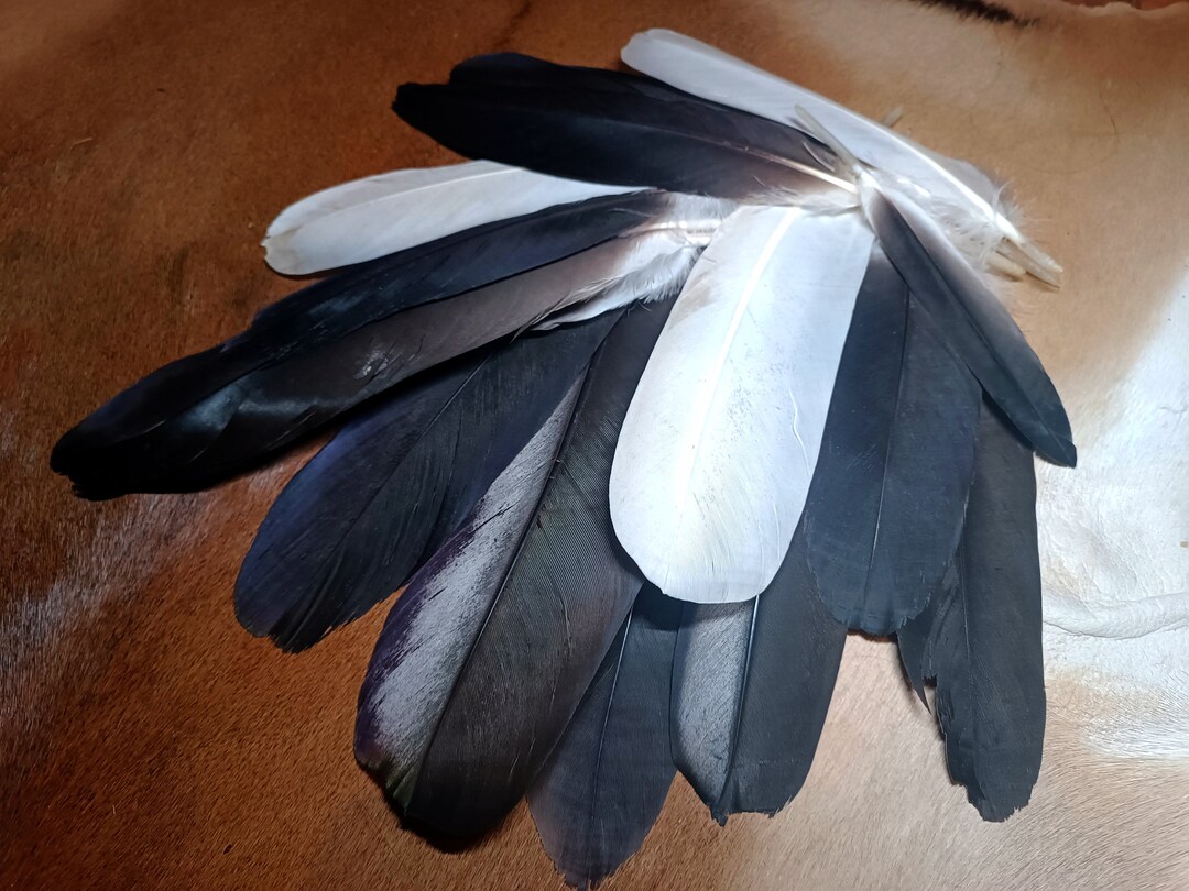 Stork Feather Sets - Etsy