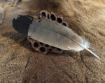 Exotic Rare Feather - Etsy