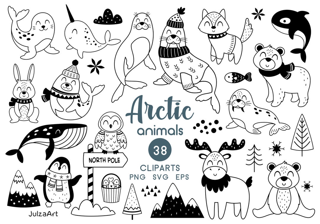 Antarctic Animals Vs Arctic Animals Clipart