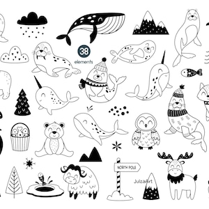 Arctic Animals Clipart: Black and White Polar Animal, Winter PNG SVG ...