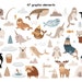 Arctic Animals Clipart, Polar Animals Svg, Winter Clipart, Baby Animals ...