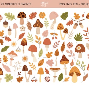 Boho Fall Clipart: Autumn Leaves, Floral SVG, Mushroom PNG, Flowers ...