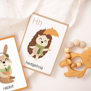 Woodland Animal Alphabet Flashcards: ABC Learning, Kids Letters ...