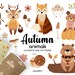 Autumn Animals Clipart Cozy Fall Svg Fall Seamless Pattern - Etsy