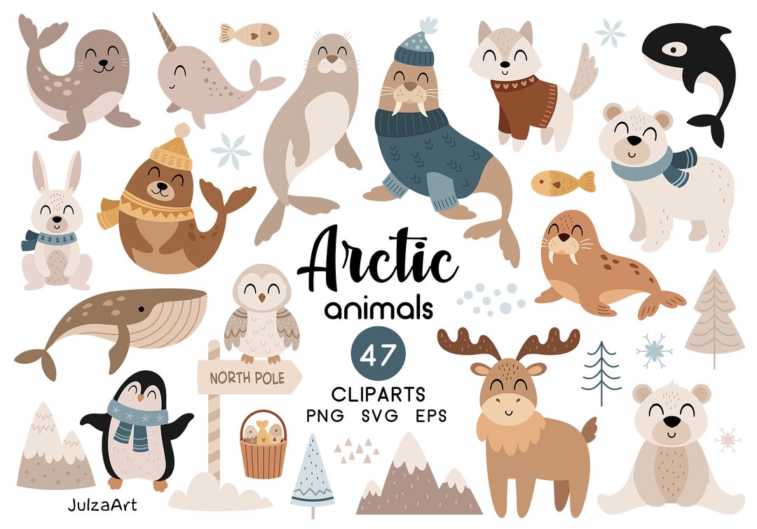 Arctic Animals Clipart, Polar Animals Svg, Winter Clipart, Baby Animals ...