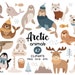 Arctic Animals Clipart, Polar Animals Svg, Winter Clipart, Baby Animals ...