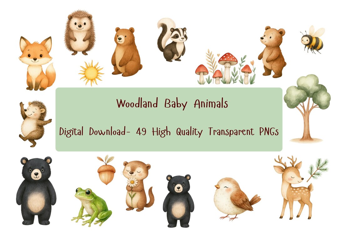 Baby Woodland Animals Clipart Bundle | Forest Animal PNG | Digital ...