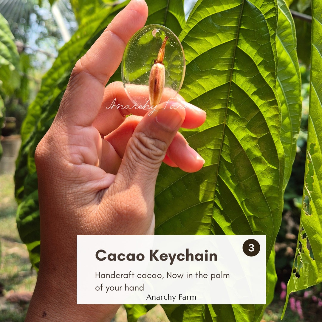 Handcrafted Cocoa Pod Keychain Unique Clear Resin Pendant, Artisan ...