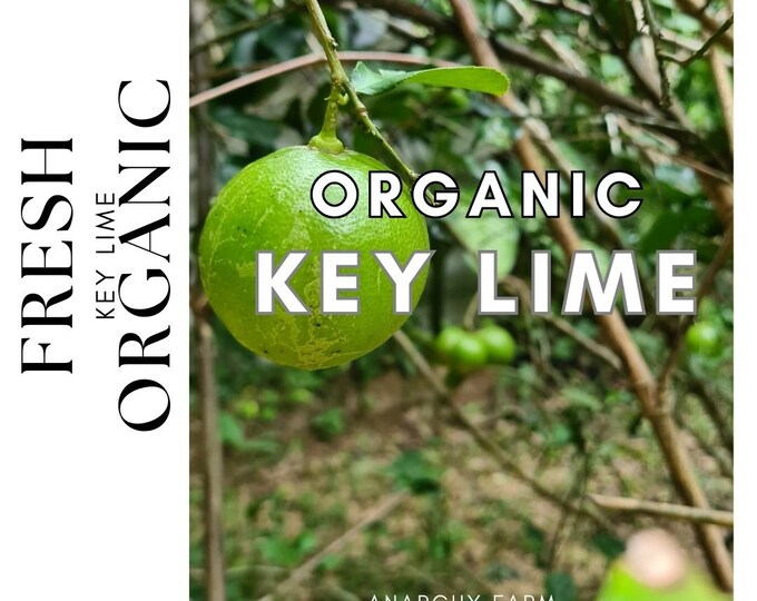 Organic Thai Key Lime Fresh Citrus Aurantifolia, Citrus Fruit, Natural ...