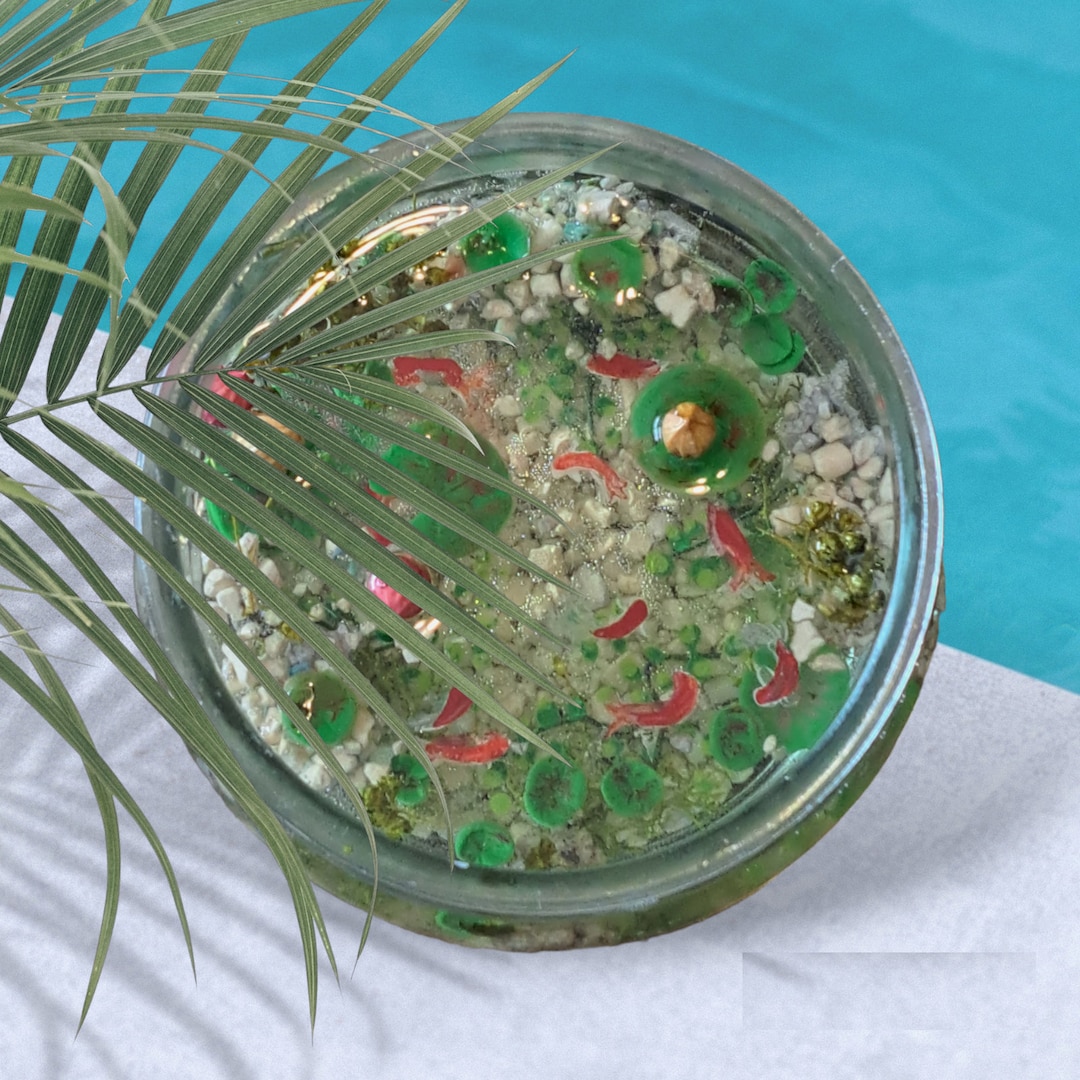 Mini Aquarium, Fish Nature Scene Diorama, Tiny Glass Red Fishes Diorama ...