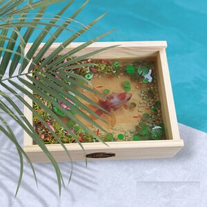 Goldfish Nature Scene Diorama, Mini Pond Ecosystem Diorama, Wooden Box ...