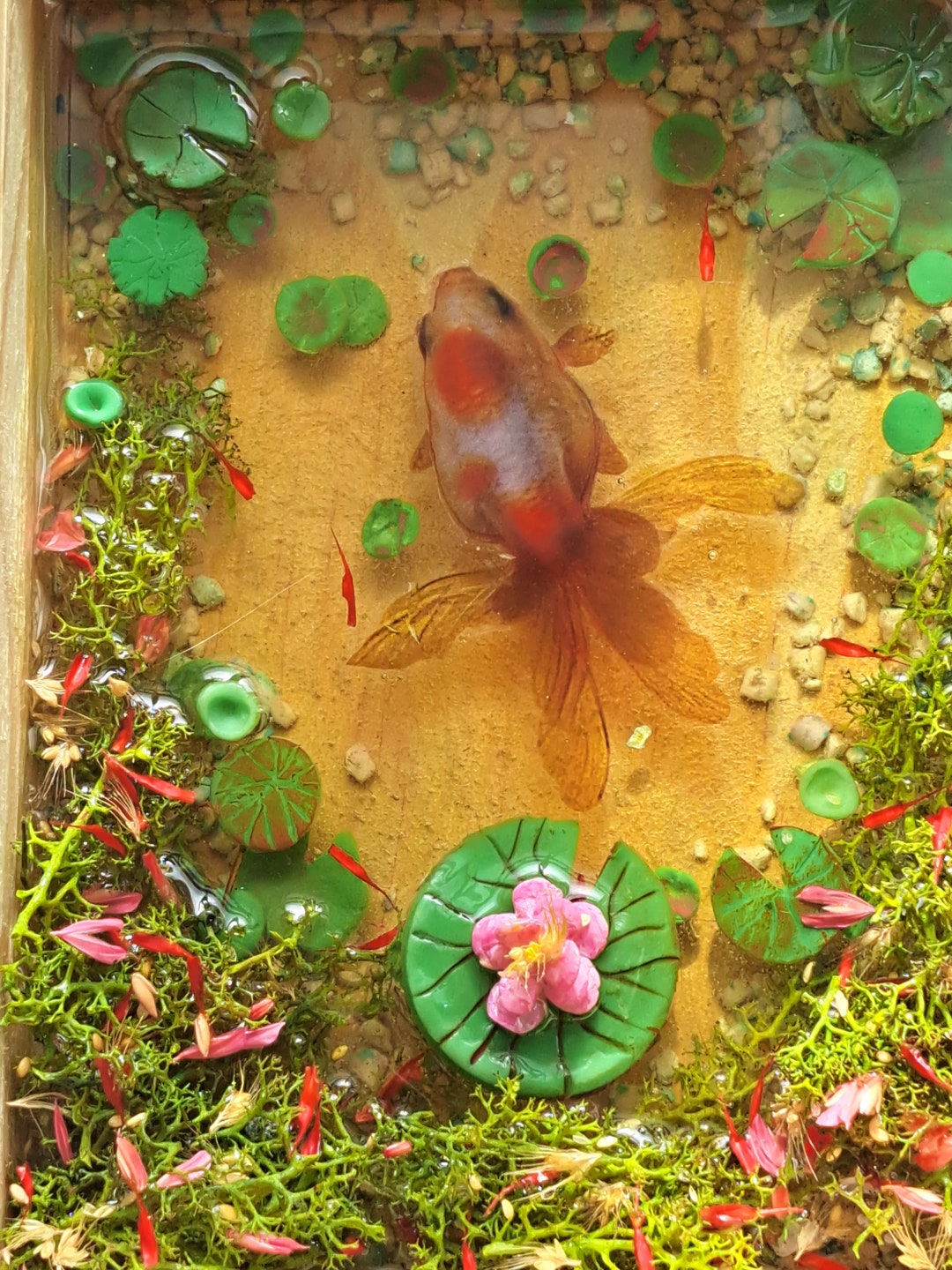 Goldfish Nature Scene Diorama, Mini Pond Ecosystem Diorama, Wooden Box ...