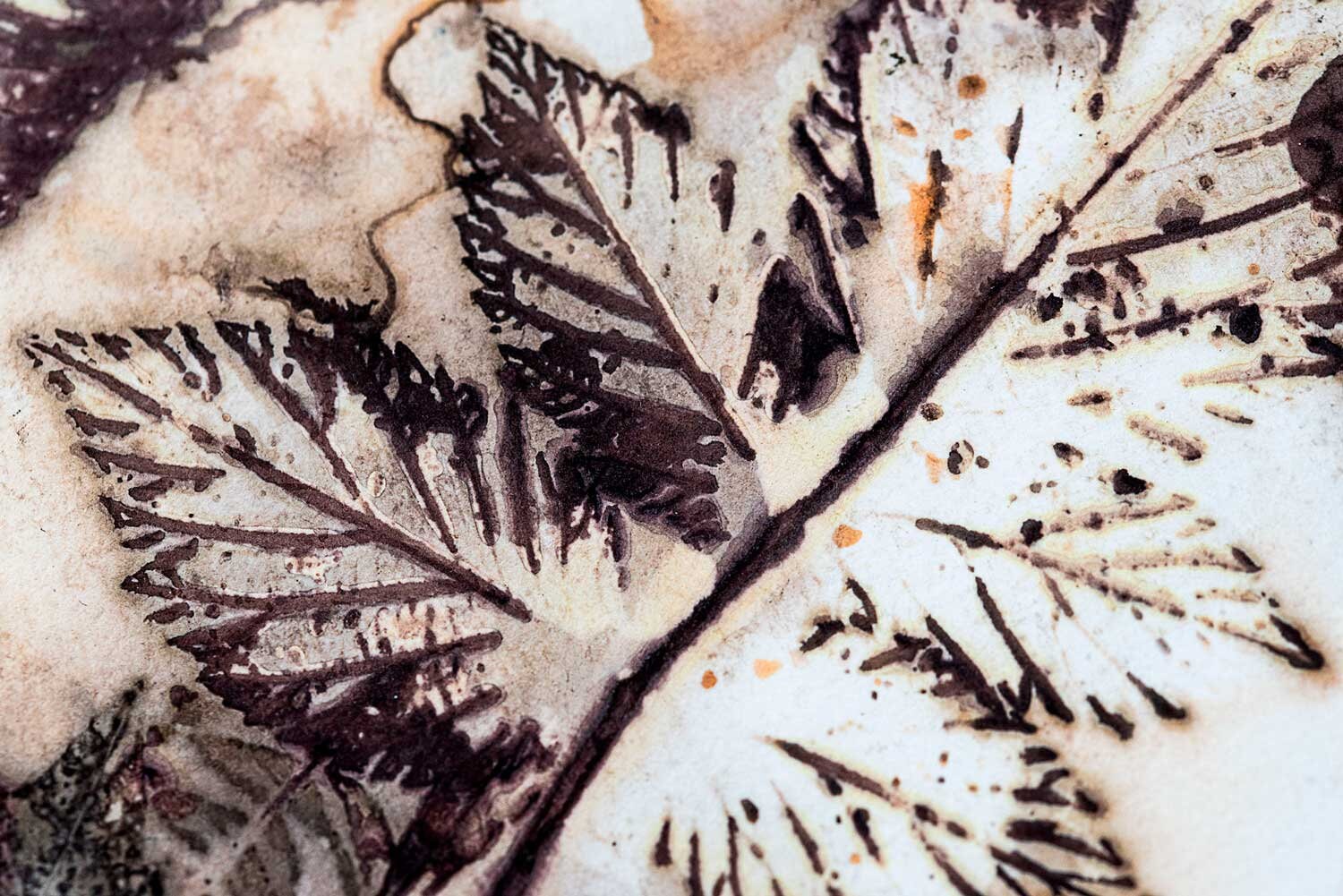 Lot of 6 Botanical Fingerprint Maps - Etsy