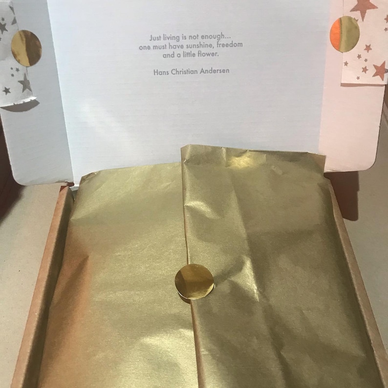 Chocolate Truffle Making Kit - Makes Around up to 16 Delicious Truffles ...