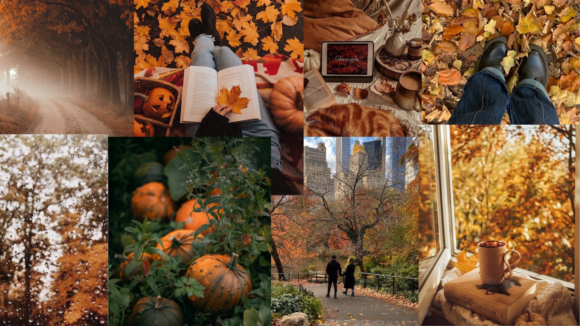 Autumn Gallery Wall Prints, Fall Wall Art Prints, Rustic Autumn Wall ...