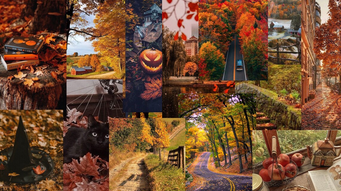 Autumn Gallery Wall Prints, Fall Wall Art Prints, Rustic Autumn Wall ...