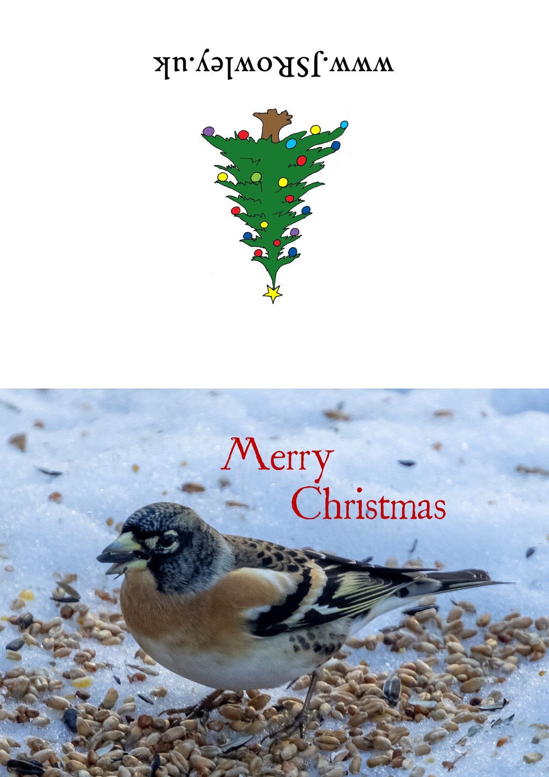 Very High Quality Printed Brambling Christmas Card - Etsy