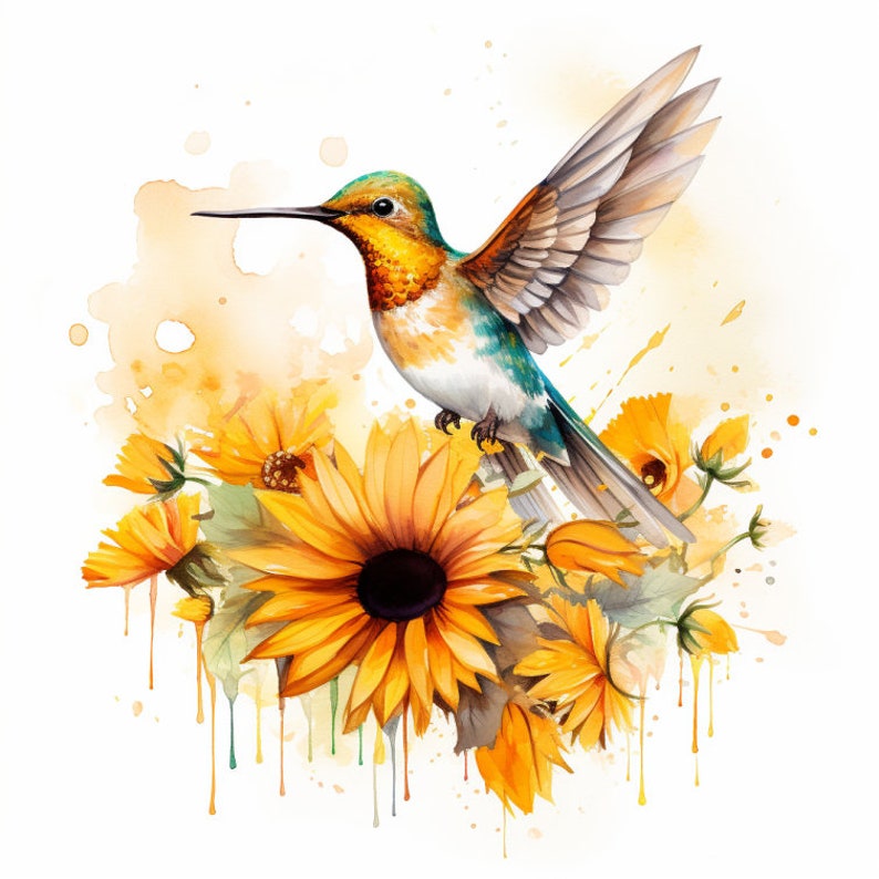 Watercolor Elegant Hummingbird and Sunflowers, Bundle of 5 PNG Files ...