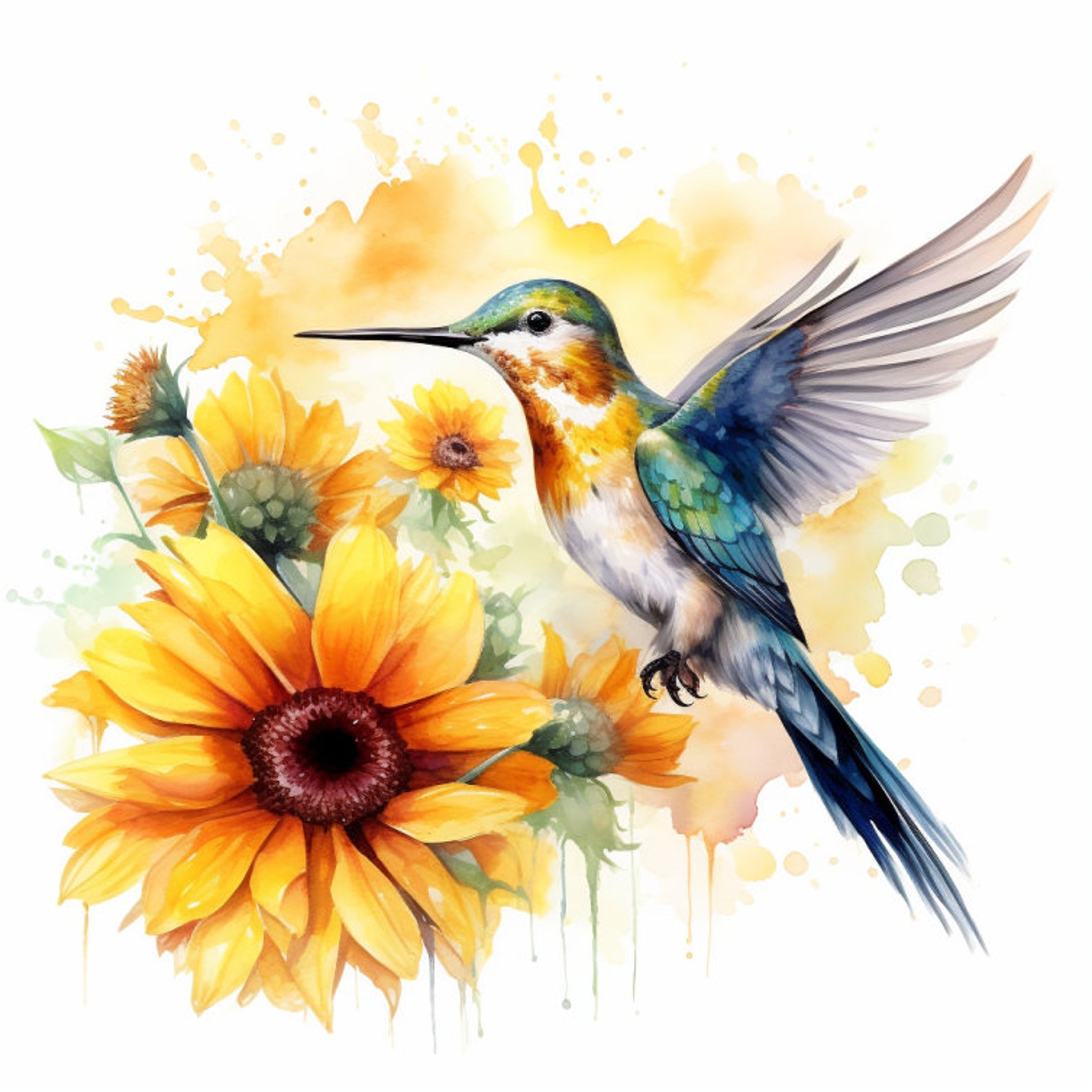 Watercolor Elegant Hummingbird and Sunflower, Bundle of 5 PNG Files for ...