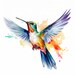 Watercolor Charming Hummingbird, Bundle of 5 PNG Files for Wall Art ...