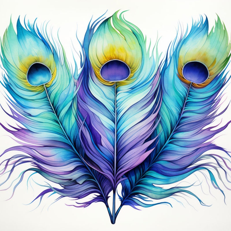 Peacock Feather Print - Etsy