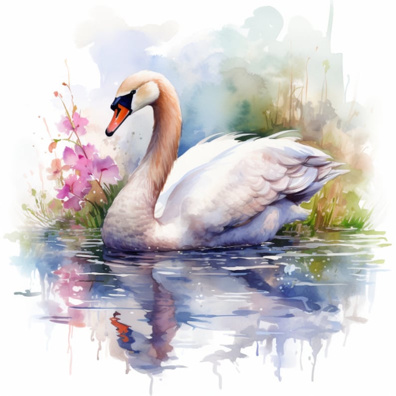 Graceful Swan Lake, Watercolor, Bundle of 5 PNG Files for Wall Art ...