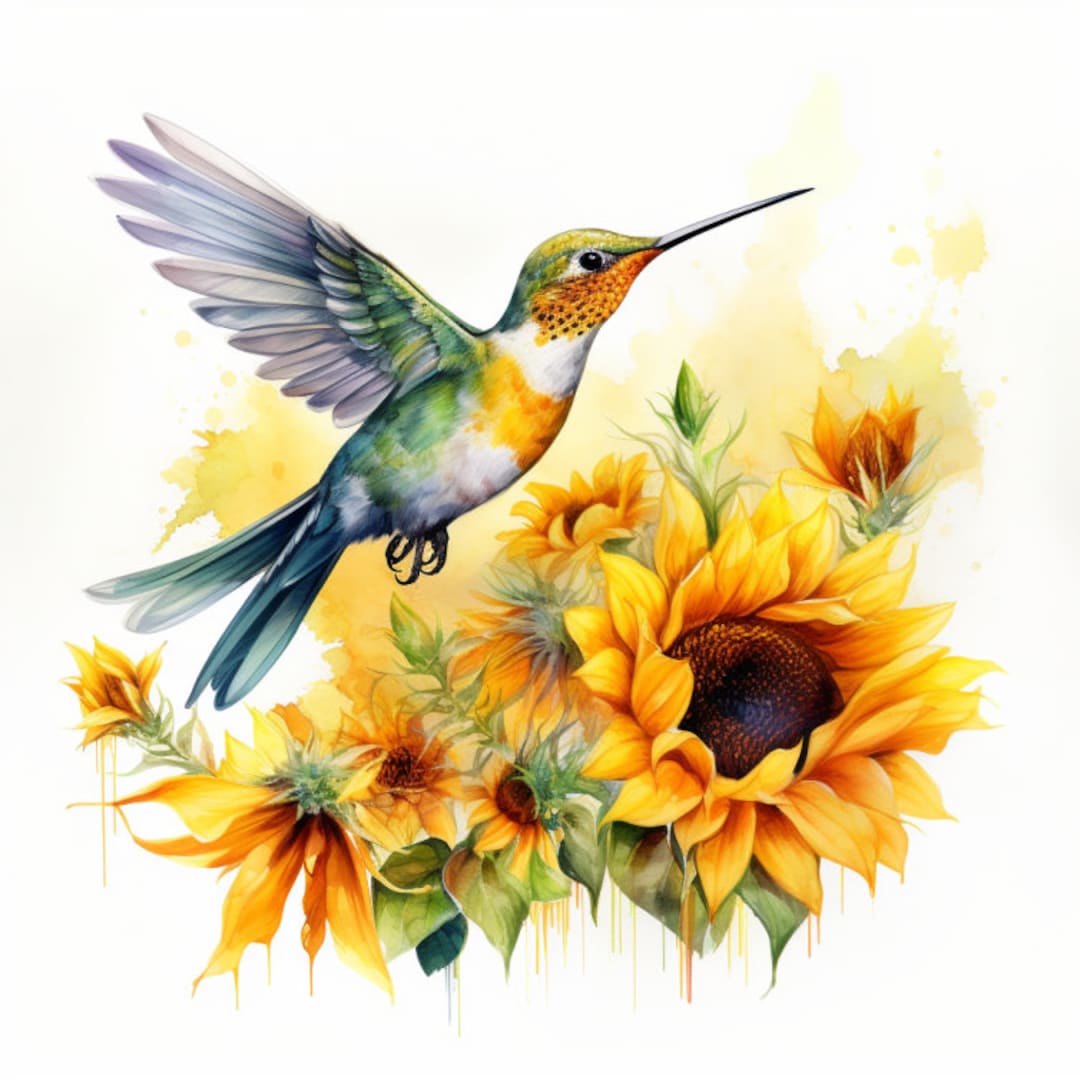 Watercolor Elegant Hummingbird and Sunflowers, Bundle of 5 PNG Files ...