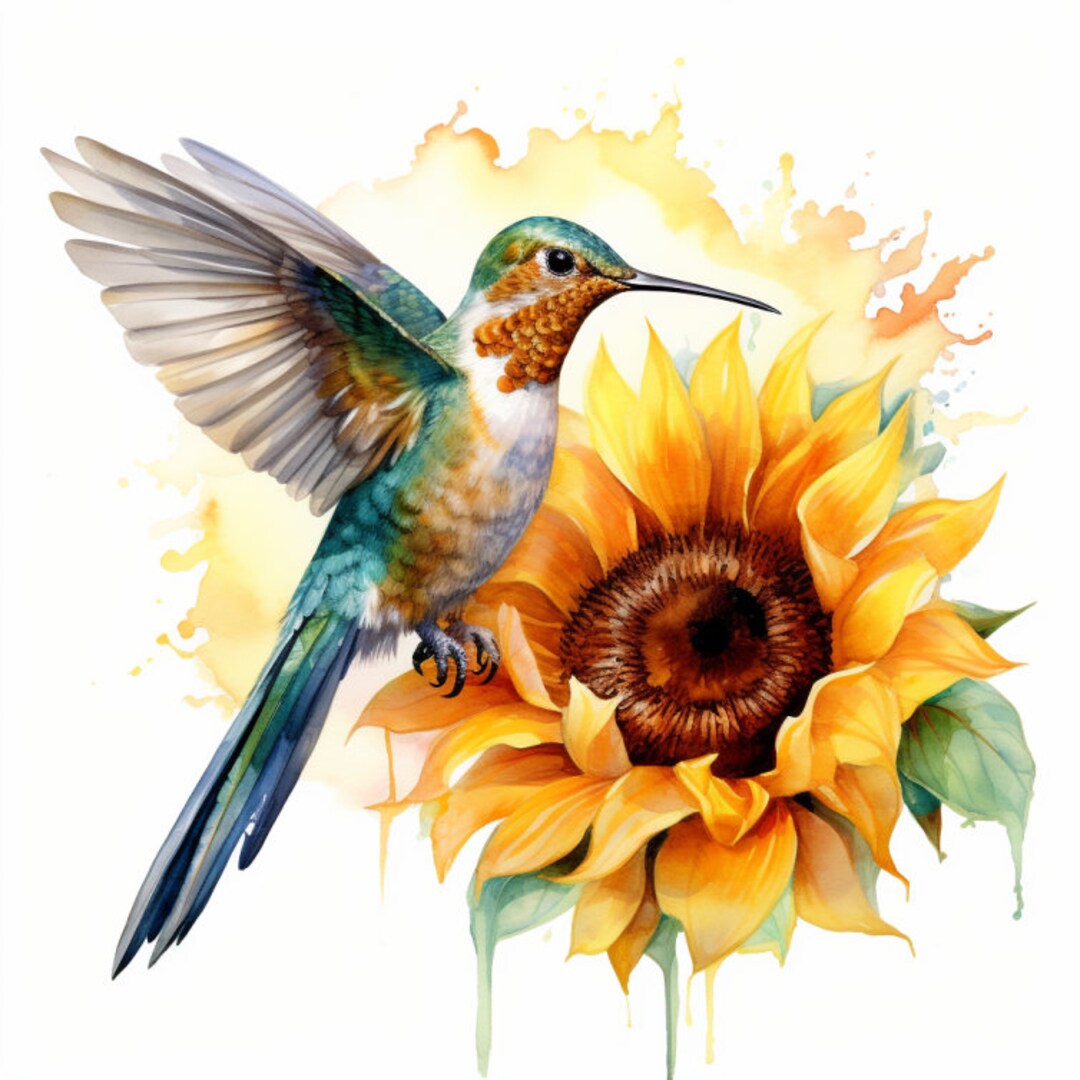 Watercolor Elegant Hummingbird and Sunflower, Bundle of 5 PNG Files for ...