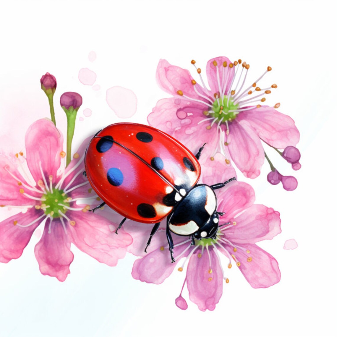 Watercolor Cute Ladybug and Pink Flowers, Bundle of 5 PNG Files for ...