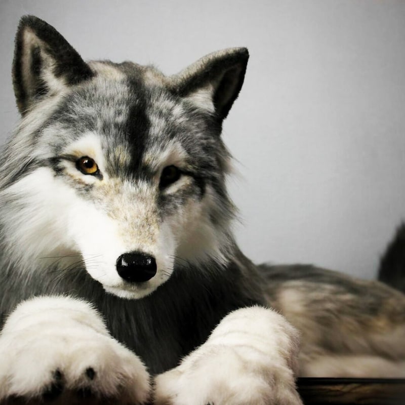 Realistic Stuffed Wolves - Etsy