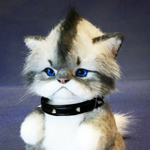 Mohawk Cat - Etsy