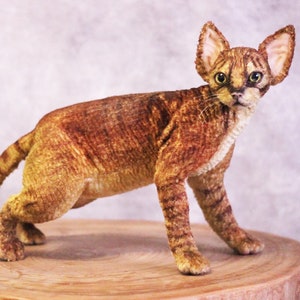 DEVON REX CAT Plush Toy, 3D Realistic Cat Plushie, Stuffed Cat, Plush ...