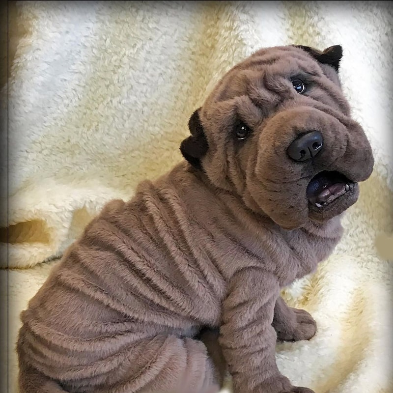 Big Realistic Dog Plush - Etsy