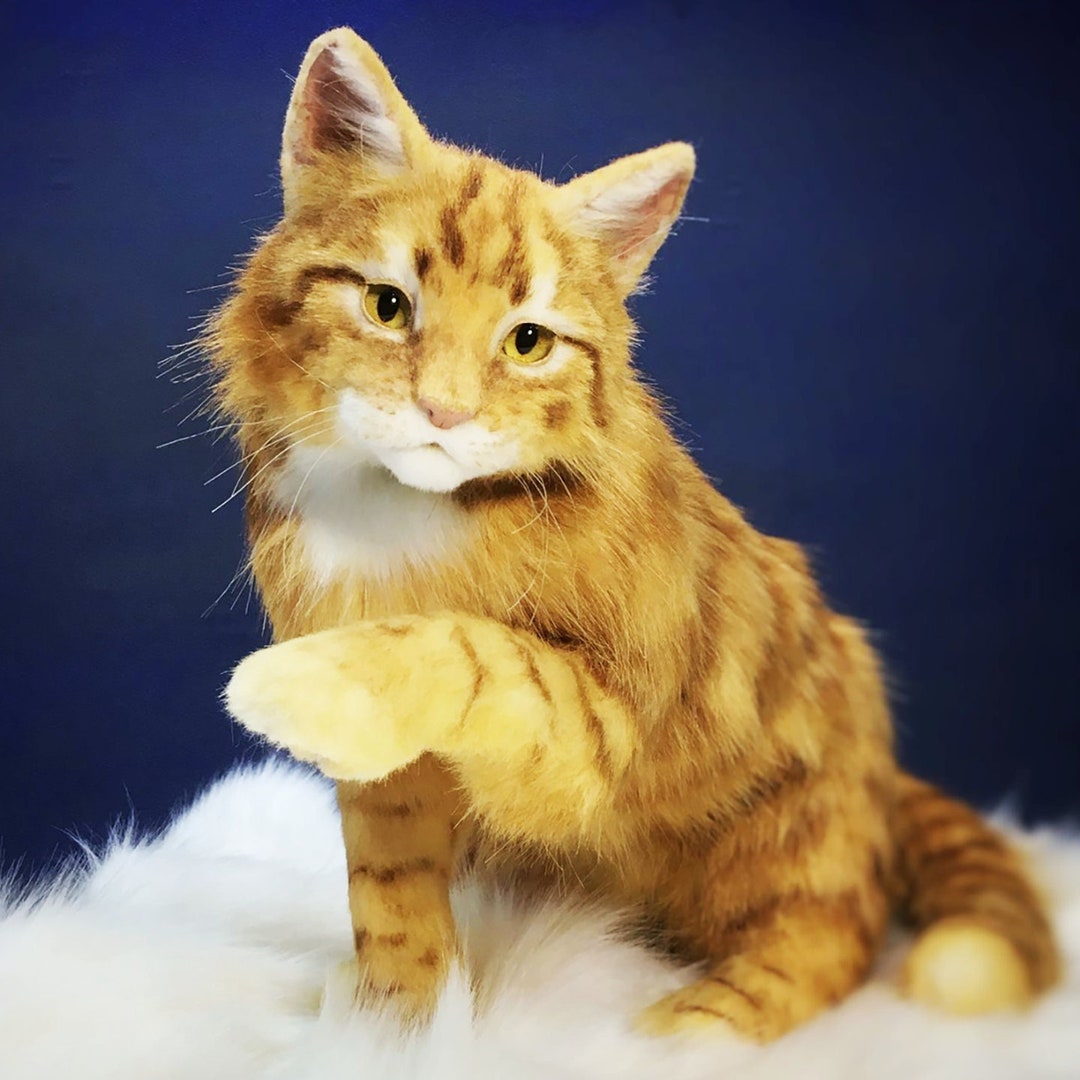 CUSTOM CAT Plush Toy, 3D Realistic Cat Plushie, Plush Toy, Gift for Her ...