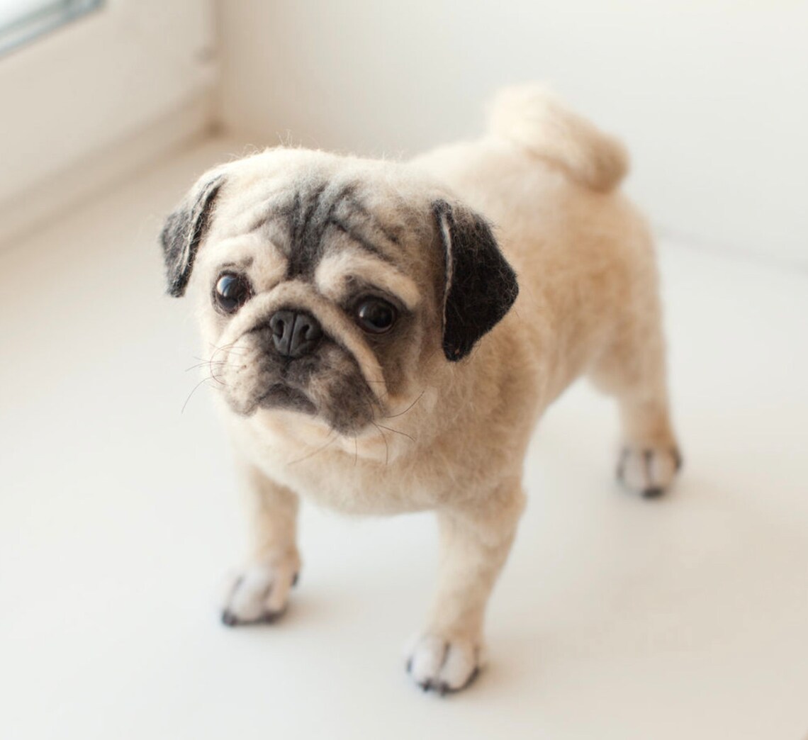 Custom Needle Felted Dog Felted Pug Custom Felted Dog - Etsy