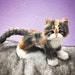 CUSTOM KITTEN Plush Toy, 3D Realistic Cat Plushie, Stuffed Cat, Plush ...