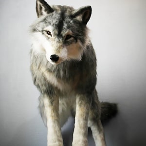 BIG ADULT WOLF Plushie Made to Order, Stuffed Wolf, 3D Realistic Art ...