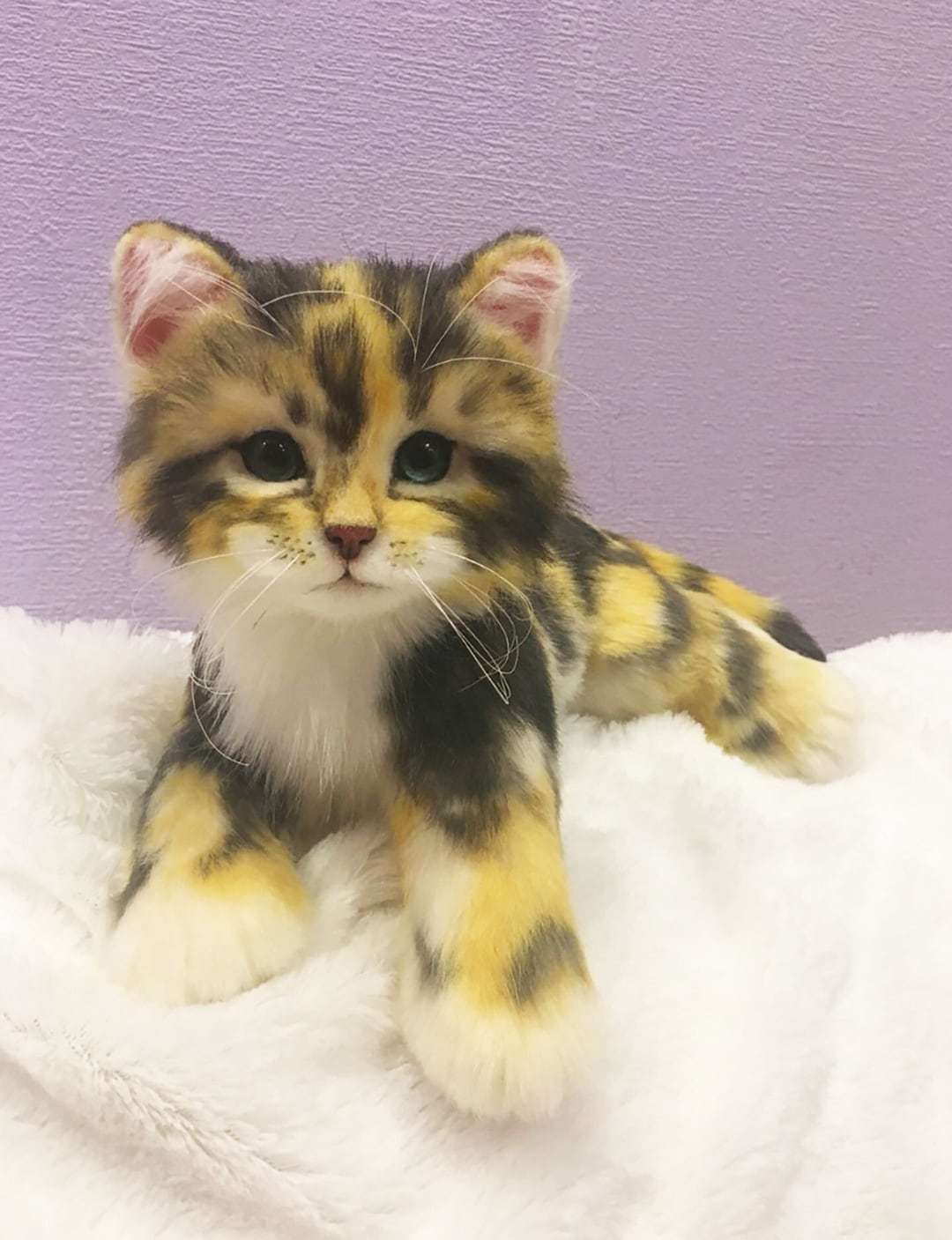 CUSTOM KITTEN Plush Kitty Toy, 3D Realistic Cat Plushie, Stuffed Cat ...