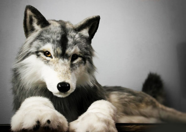 BIG ADULT WOLF Plushie Made to Order Stuffed Wolf 3D - Etsy