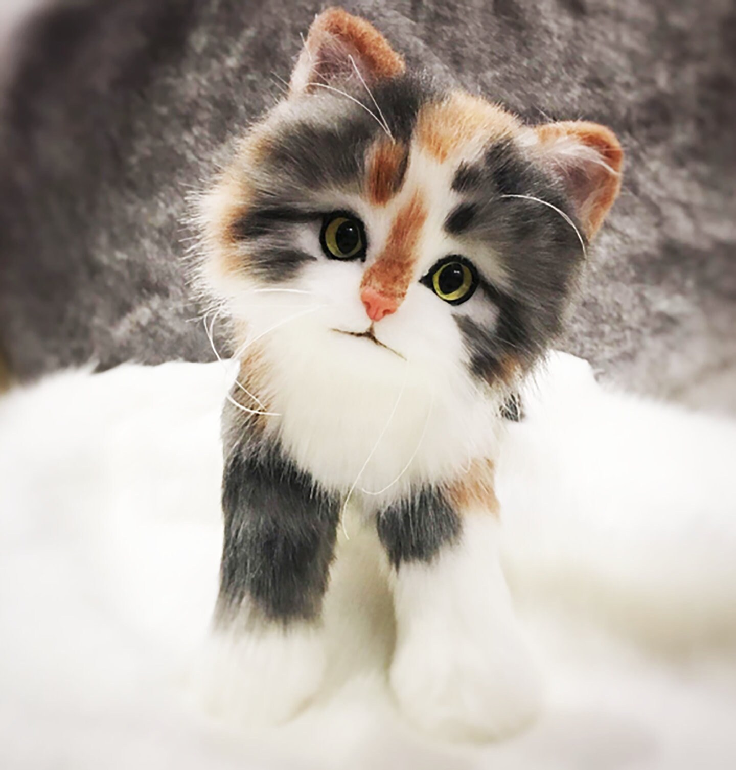 CUSTOM KITTEN Plush Toy, 3D Realistic Cat Plushie, Stuffed Cat, Plush ...