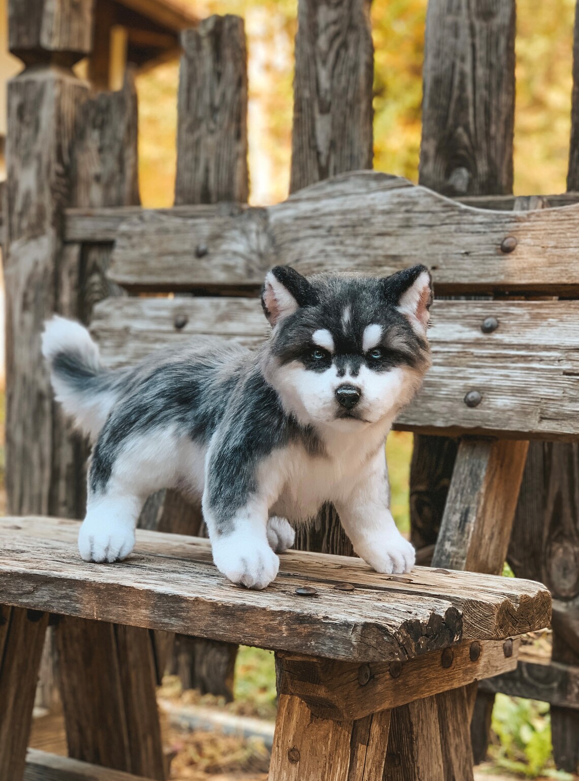 Felt HUSKY STATUE, 3D Dog Replica Statue - Etsy