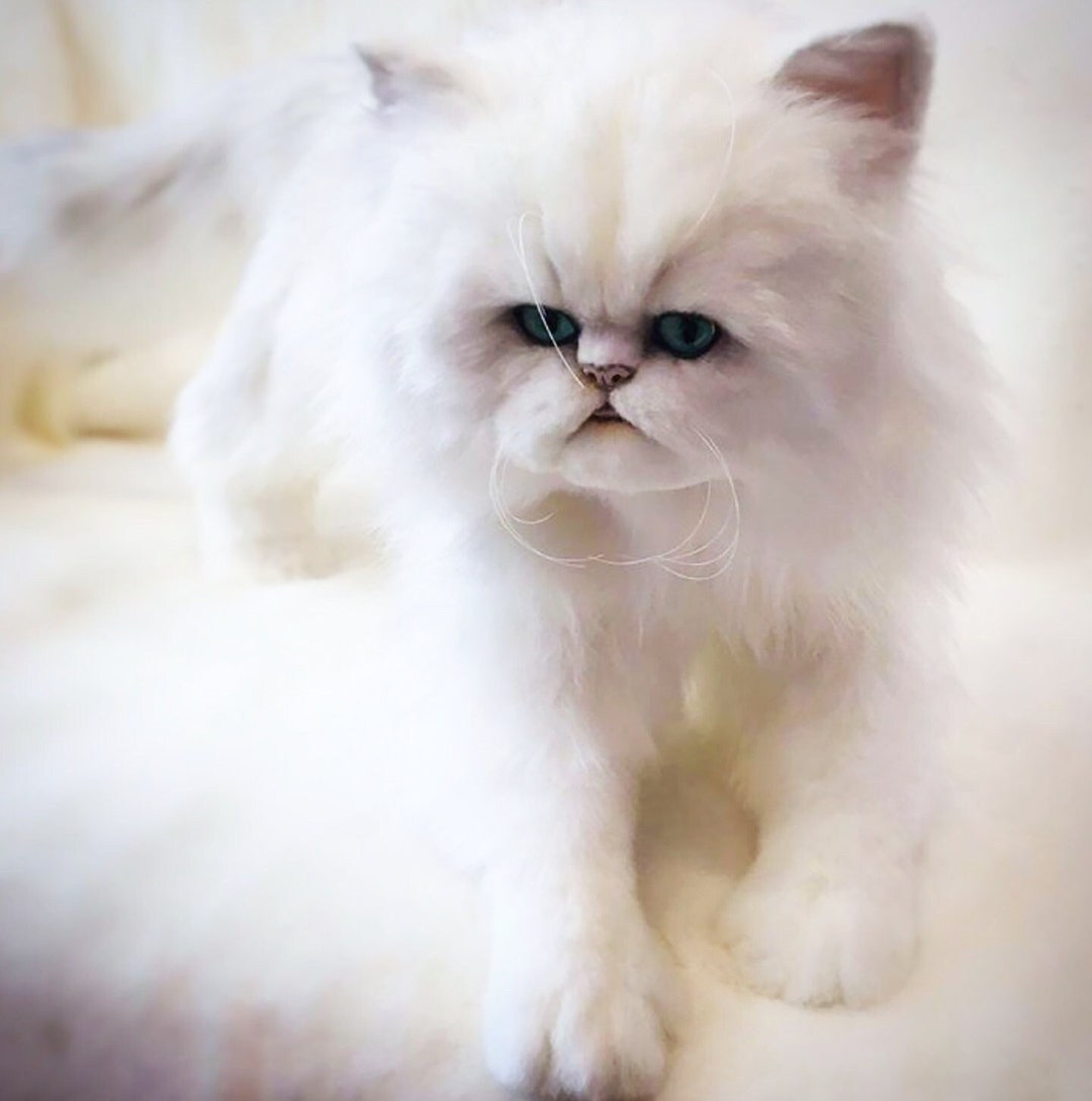 BIG PERSIAN CAT Plush Toy Made to Order, 3D Realistic Cat Plushie ...