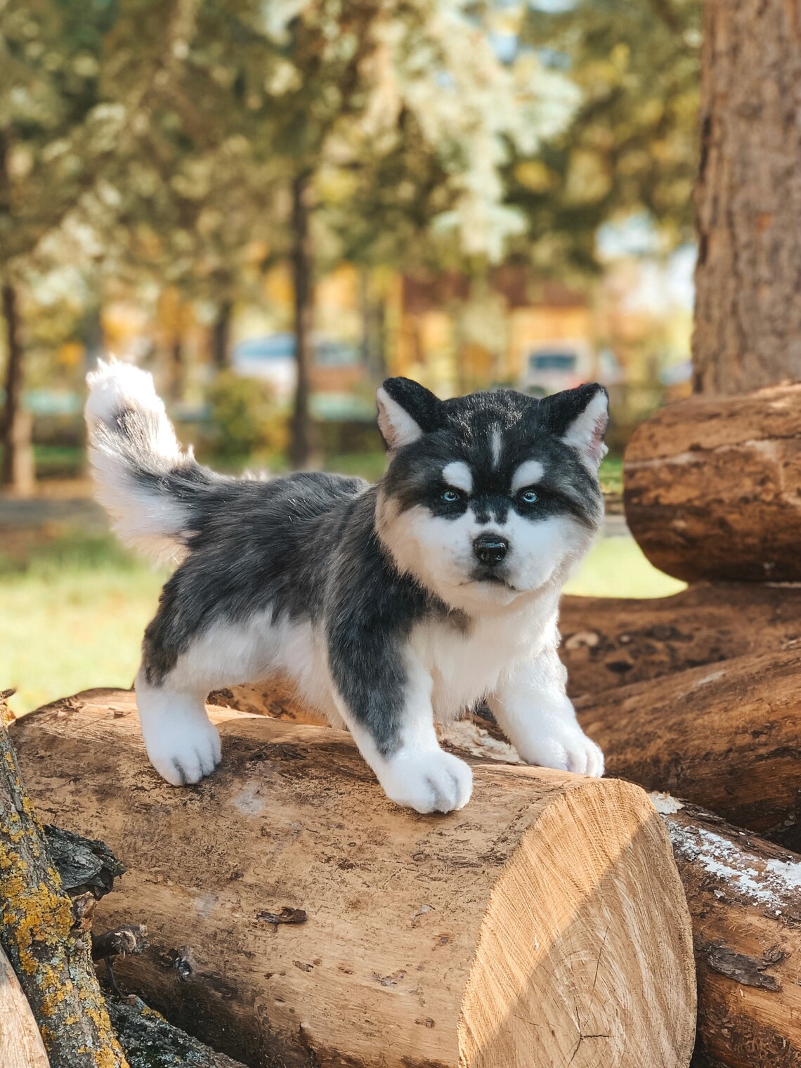 Felt HUSKY STATUE, 3D Dog Replica Statue - Etsy