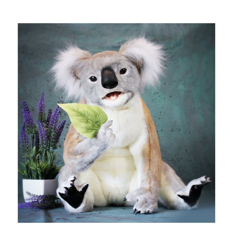 BIG KOALA PLUSH Toy Realistic Koala Unique Plush Toy Made to - Etsy