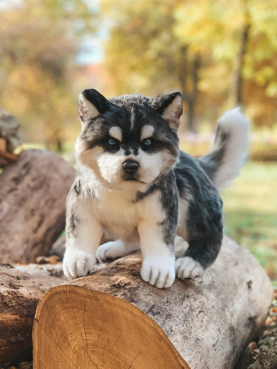Felt HUSKY STATUE, 3D Dog Replica Statue - Etsy