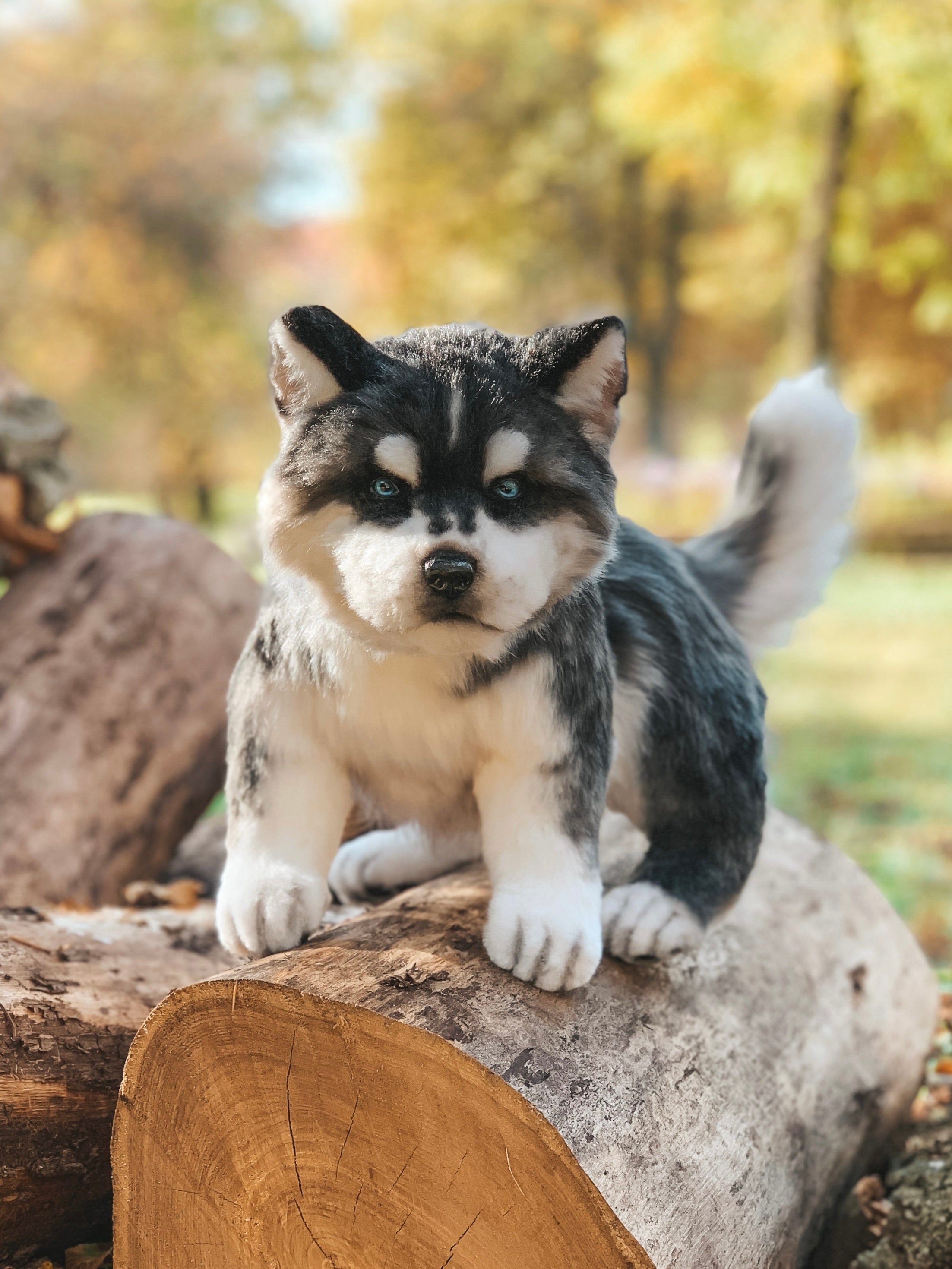 Felt HUSKY STATUE, 3D Dog Replica Statue - Etsy
