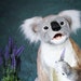 BIG KOALA PLUSH Toy, Realistic Koala, Unique Plush Toy Made to Order ...