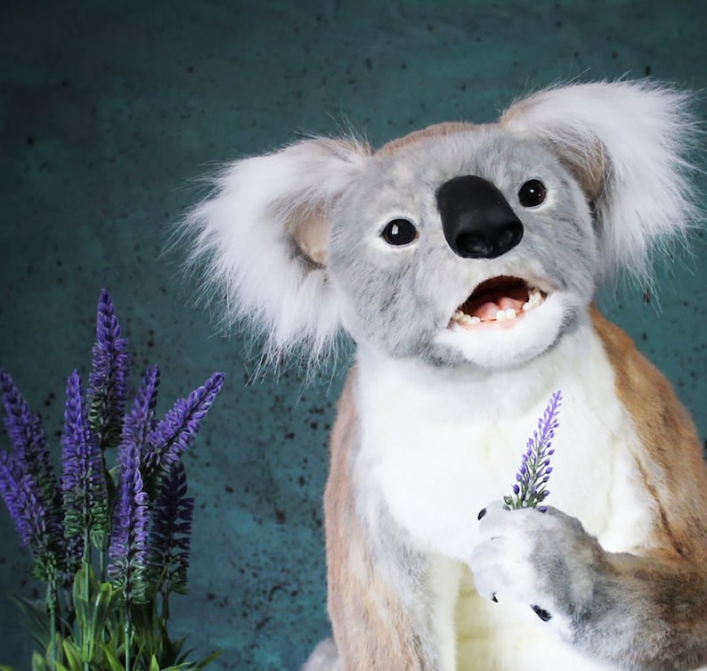 BIG KOALA PLUSH Toy Realistic Koala Unique Plush Toy Made to - Etsy