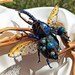 Handmade Bejeweled Hercules Beetle BROOCH - Etsy