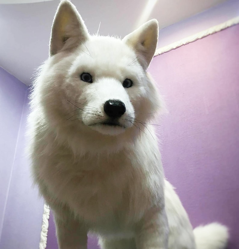 BIG REALISTIC WOLF Plushie Made to Order, Plush Toy, 3D Realistic Wolf ...